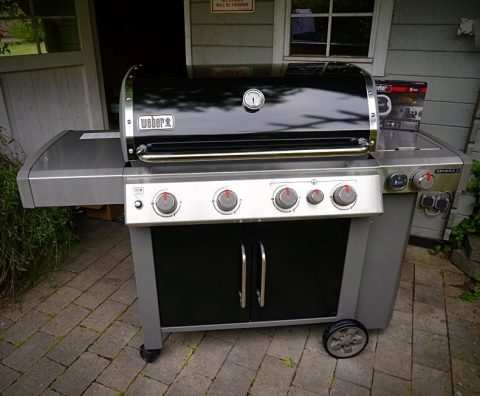 Der Weber Genesis II EP-435 im Test
